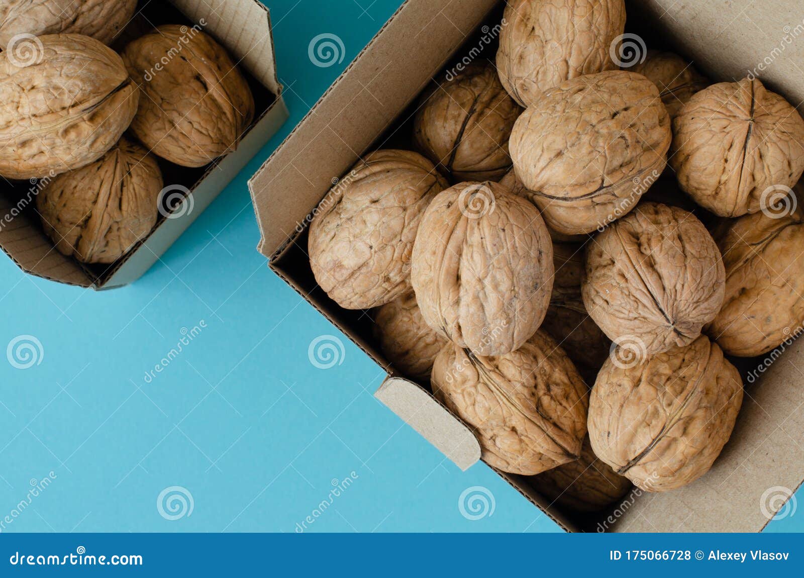 Walnuts in Cardboard Boxes on Blue Background with Copy Space Stock ...