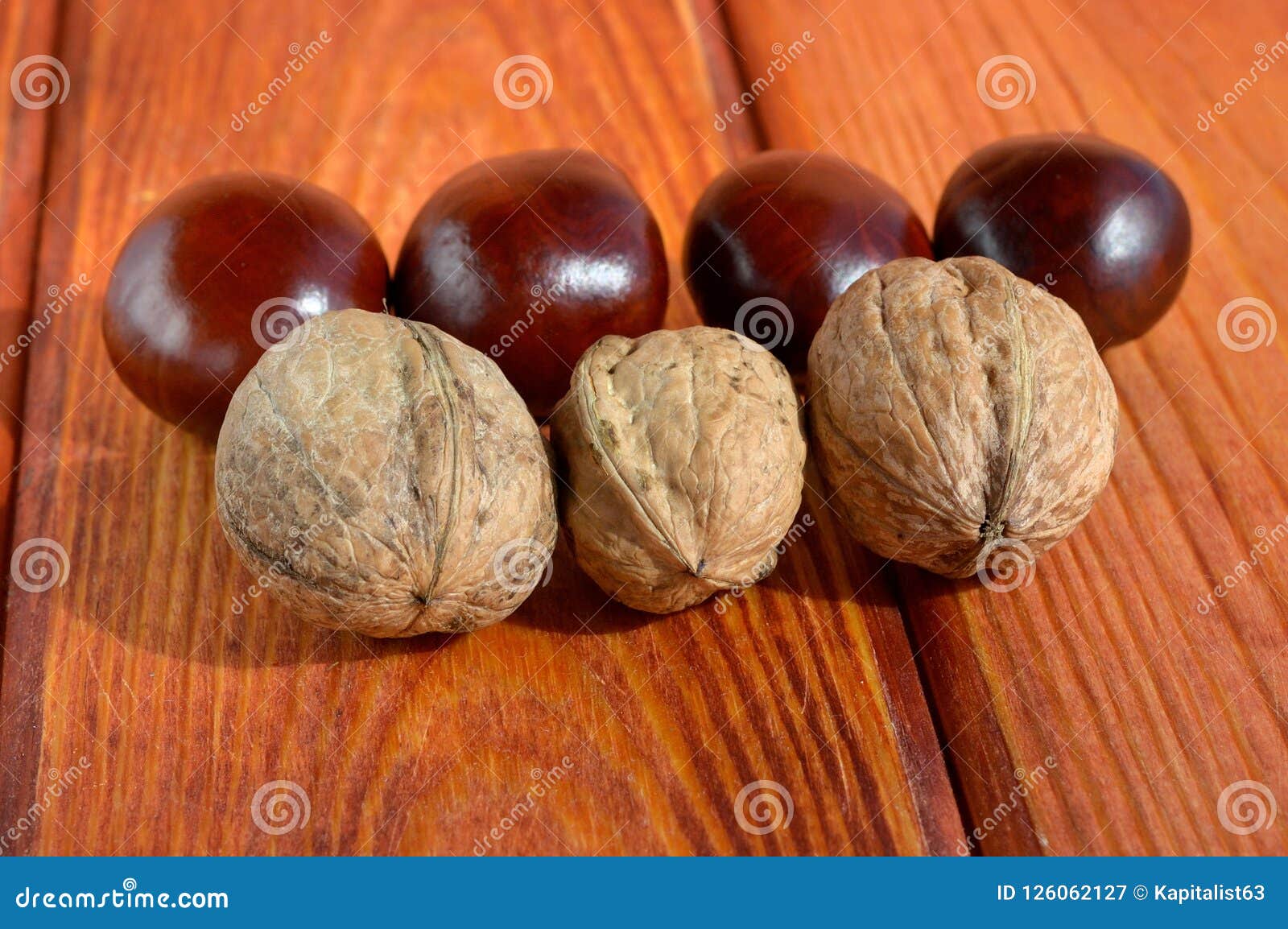 Walnuts and Chestnuts in Row Stock Image - Image of autumn, sight ...