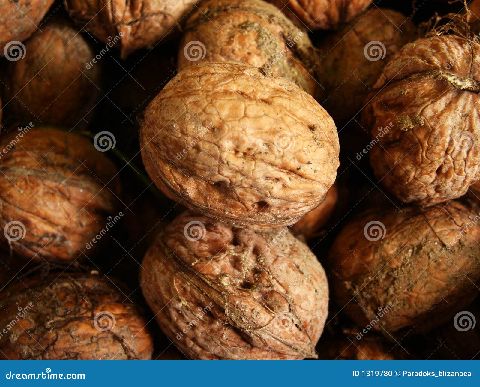 Walnuts close-up stock photo. Image of strong, shell, walnuts - 1319780