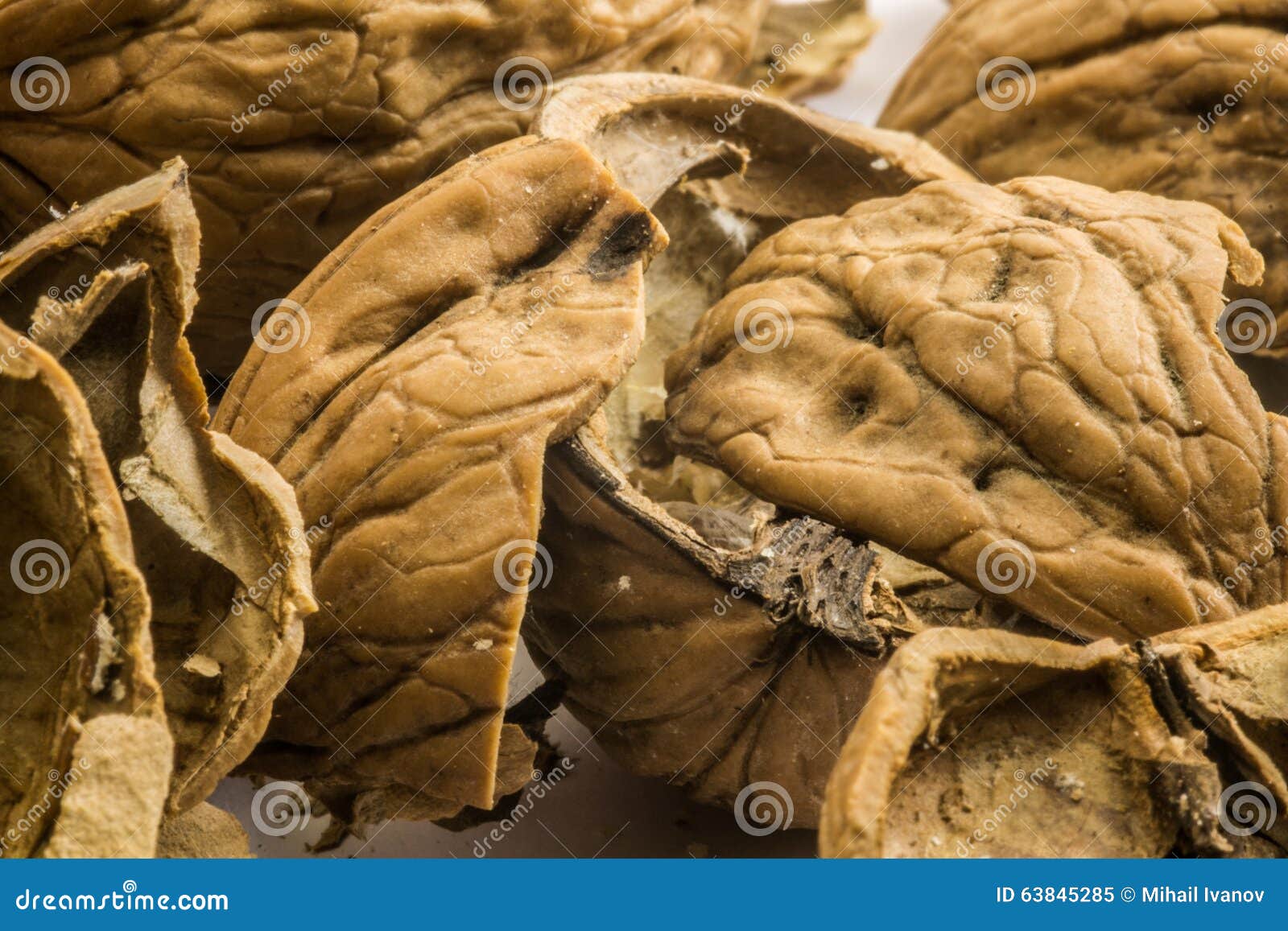 Walnuts - Close Up Shot of Shells, Marco, Cracked Stock Image - Image ...