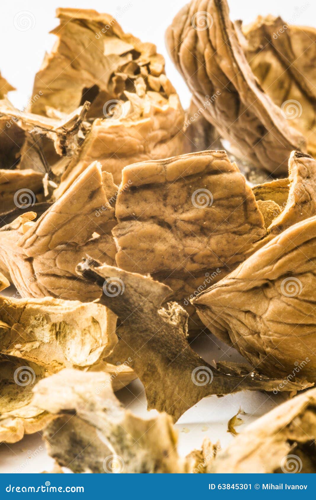 Walnuts - Close Up Vertical Shot of Shells, Marco, Cracked Stock Image ...