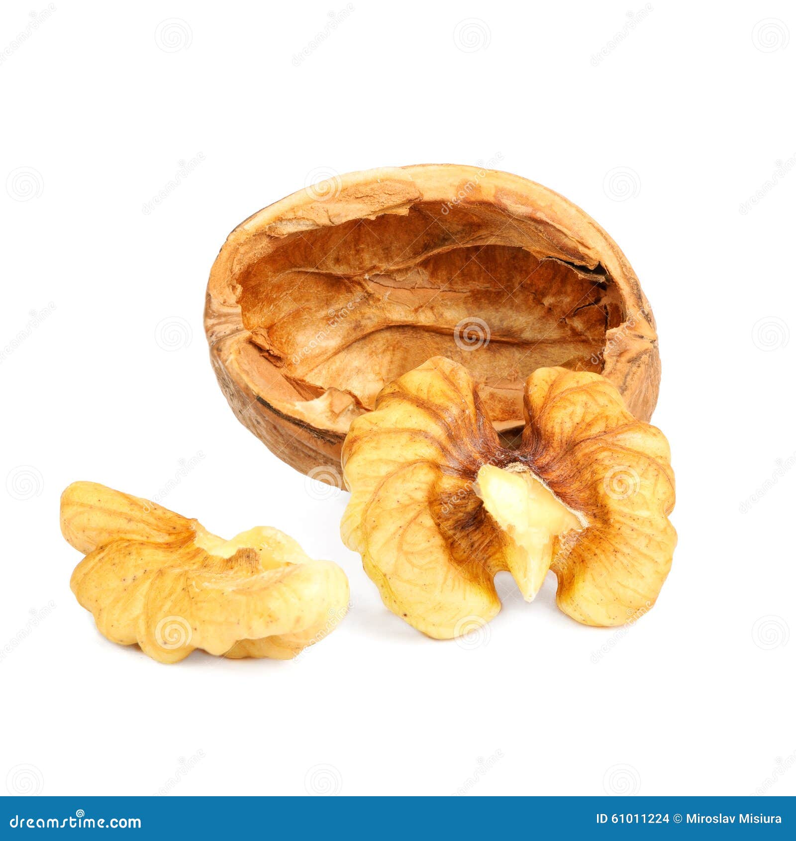 Walnuts Closeup Isolated on White Stock Photo - Image of ingredient ...