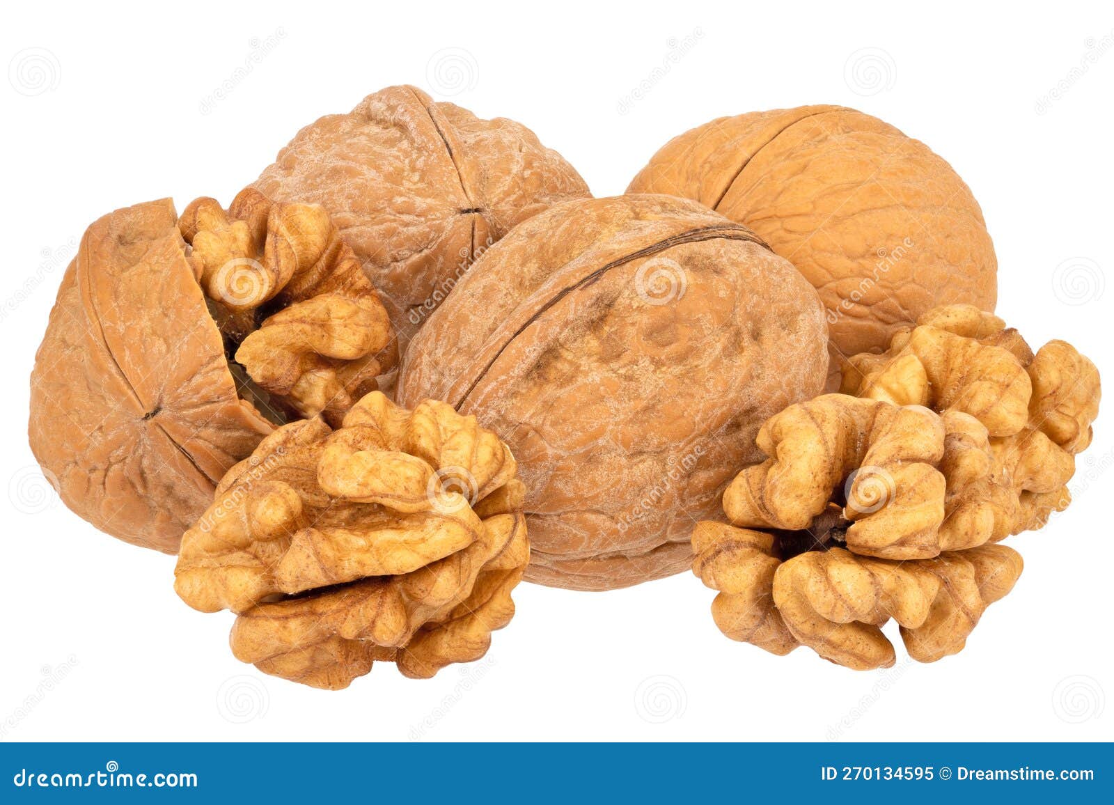 Walnuts Collection on White. Stock Image - Image of white, nutshell ...