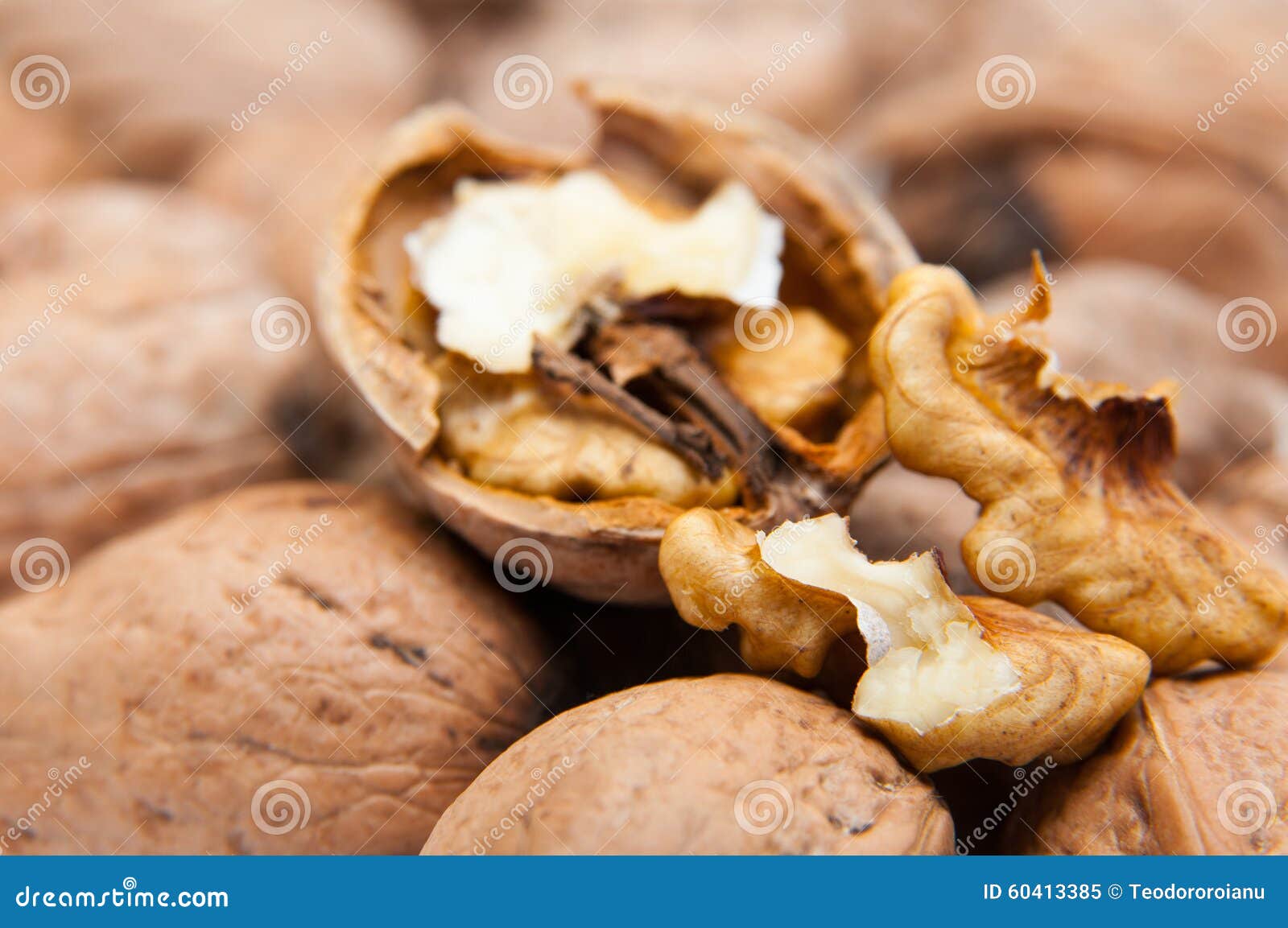 Walnuts and core stock image. Image of isolated, crop - 60413385