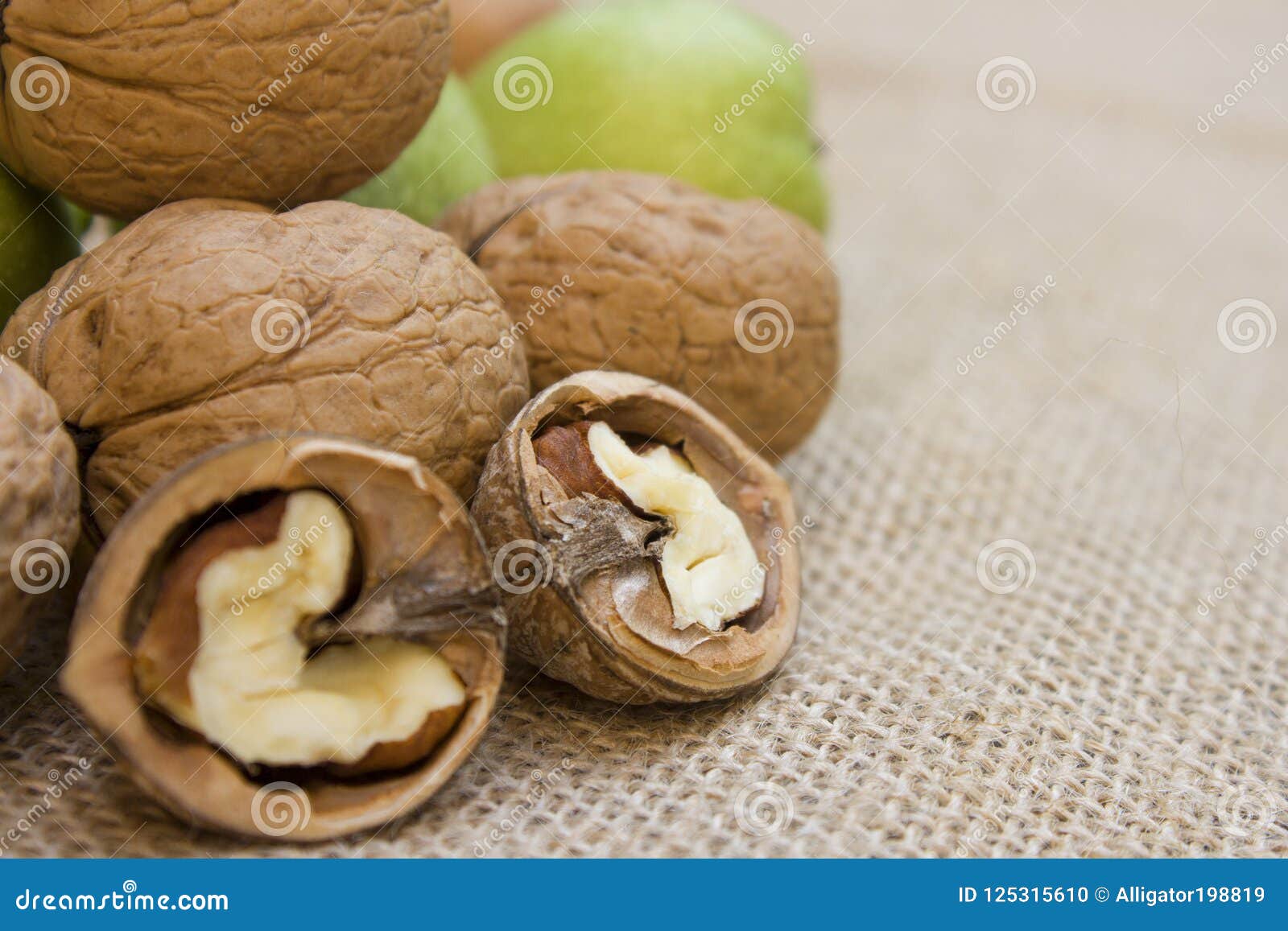 Slices of Walnut in the Pile with All Stock Photo - Image of autumn ...