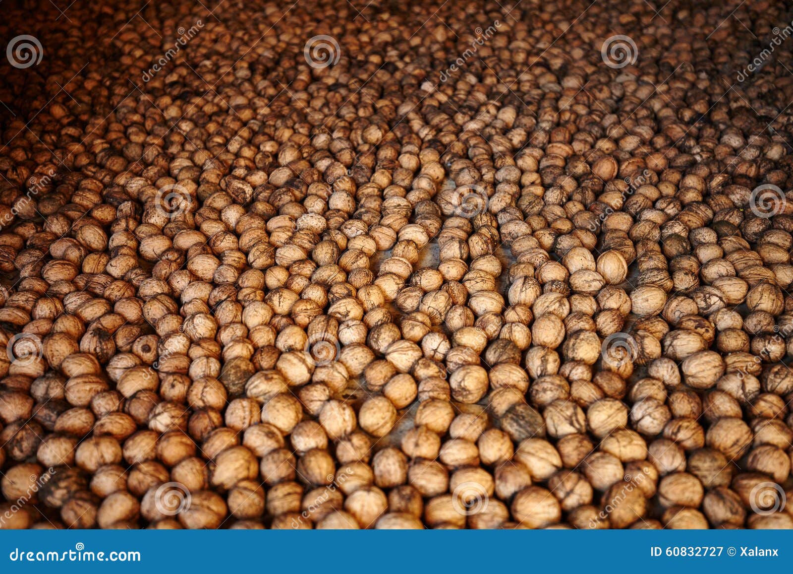 Walnuts for dry stock image. Image of healthy, diet, dried - 60832727