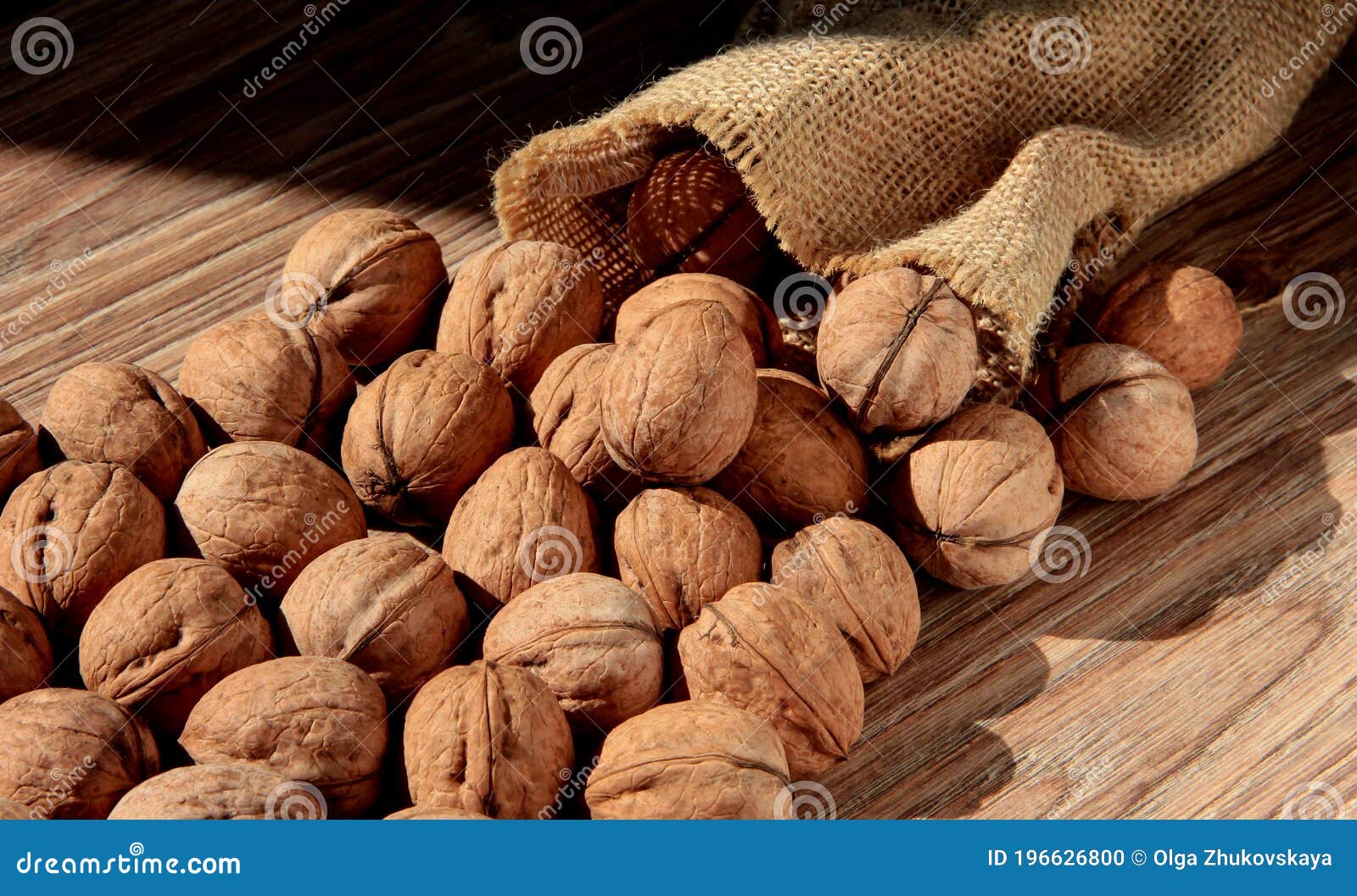 Walnuts are Emptied Out of the Bag. Scattered Nuts Stock Photo - Image ...