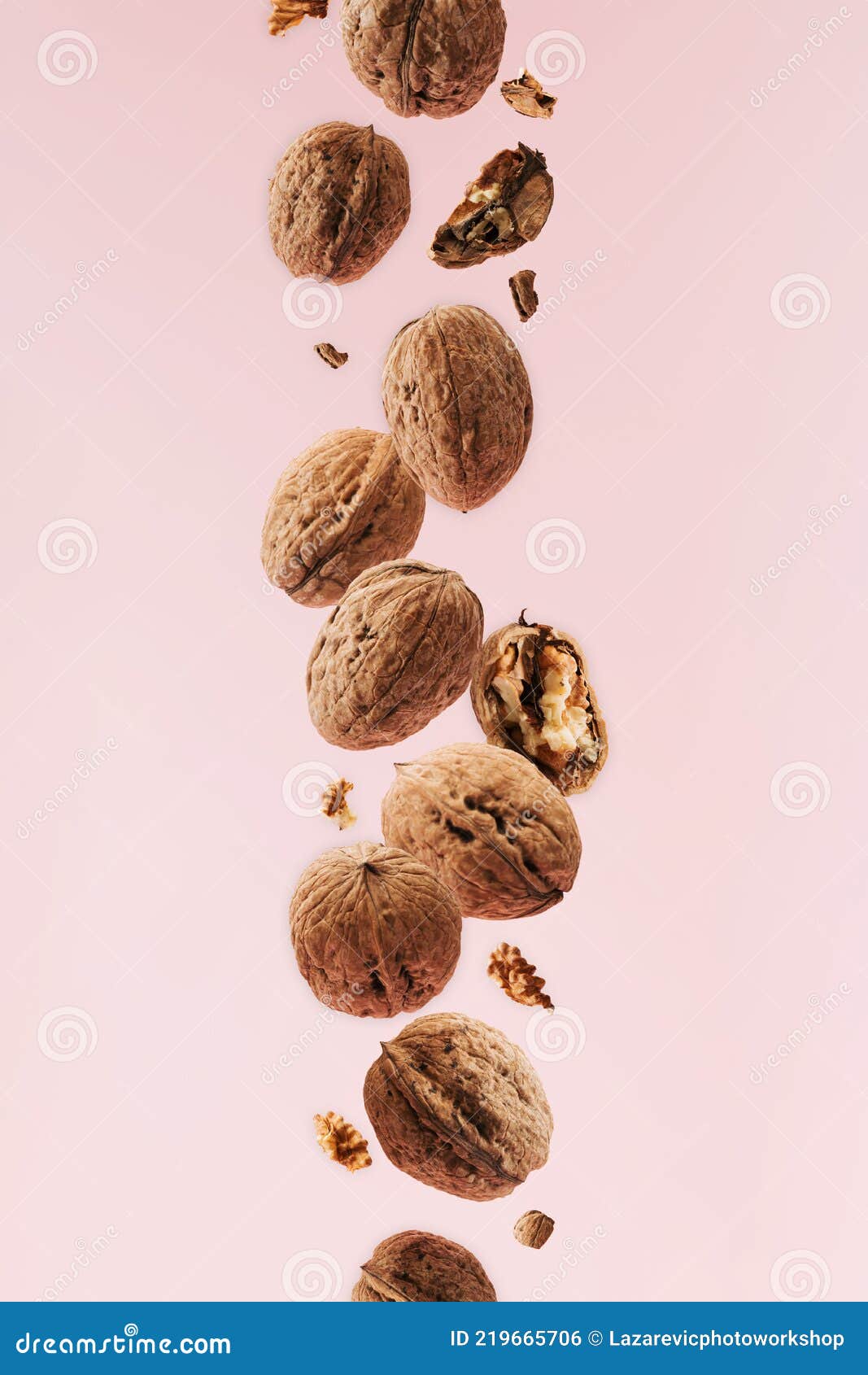 Walnuts Falling. Pink Pastel Background Stock Photo - Image of open ...