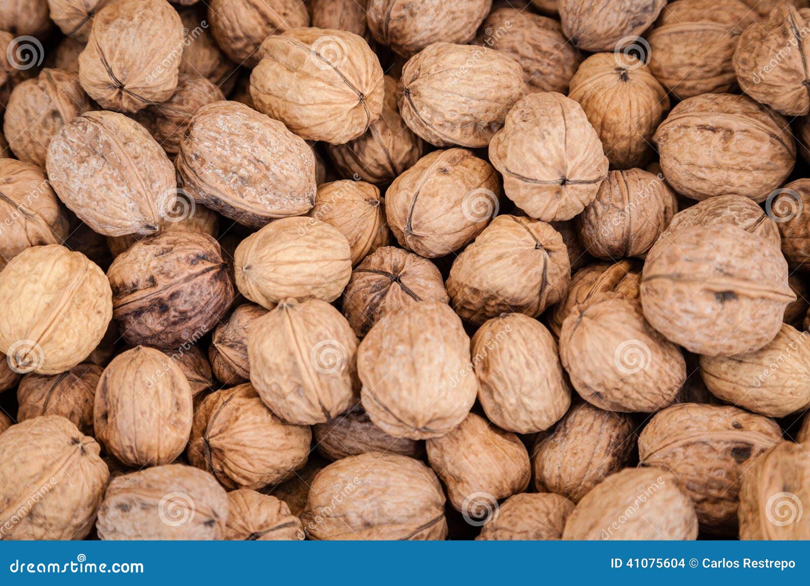 Walnuts stock photo. Image of organic, afarmer, macro - 41075604