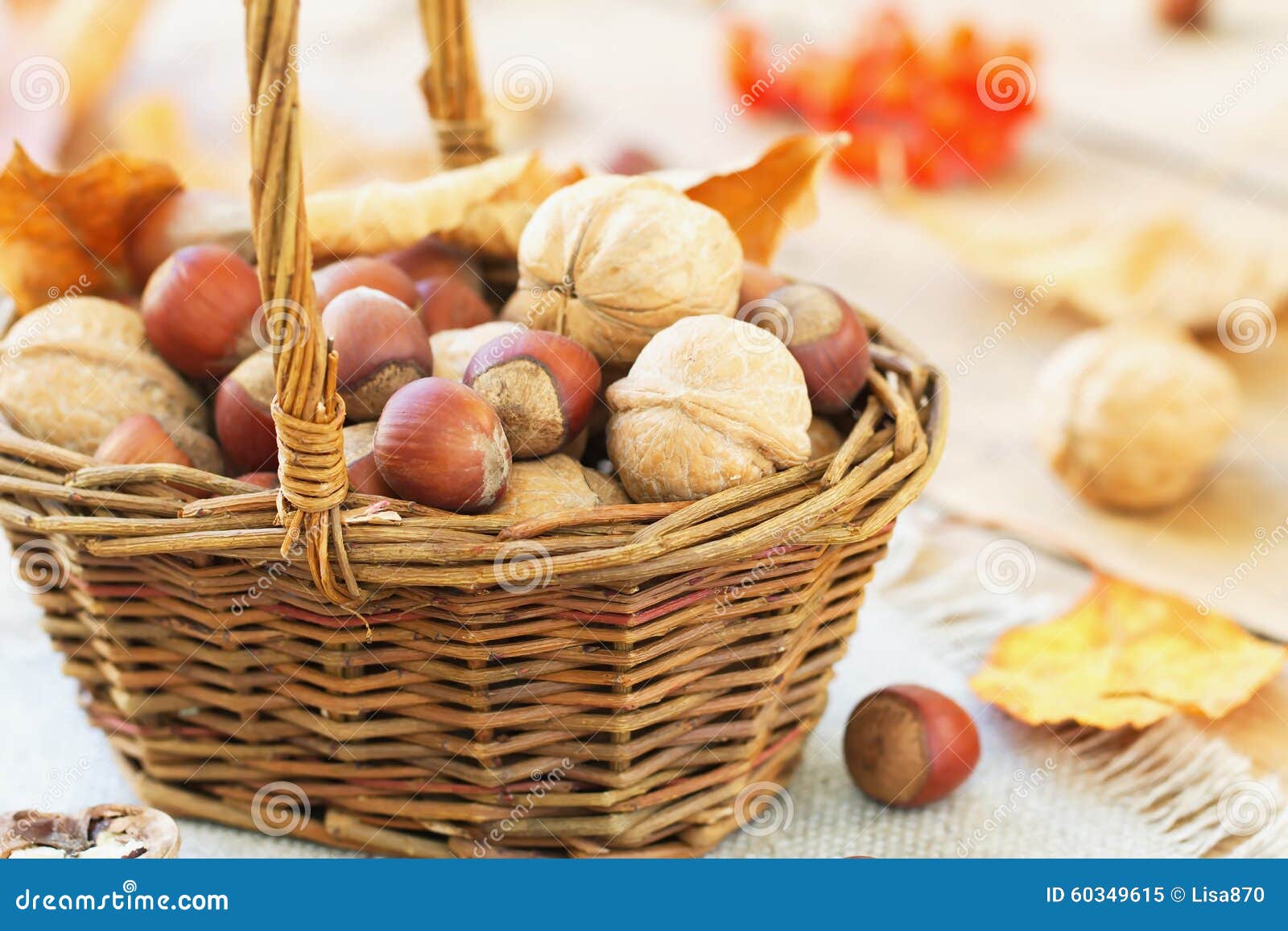 Walnuts and Filberts in a Basket Stock Image - Image of rowan, filbert ...