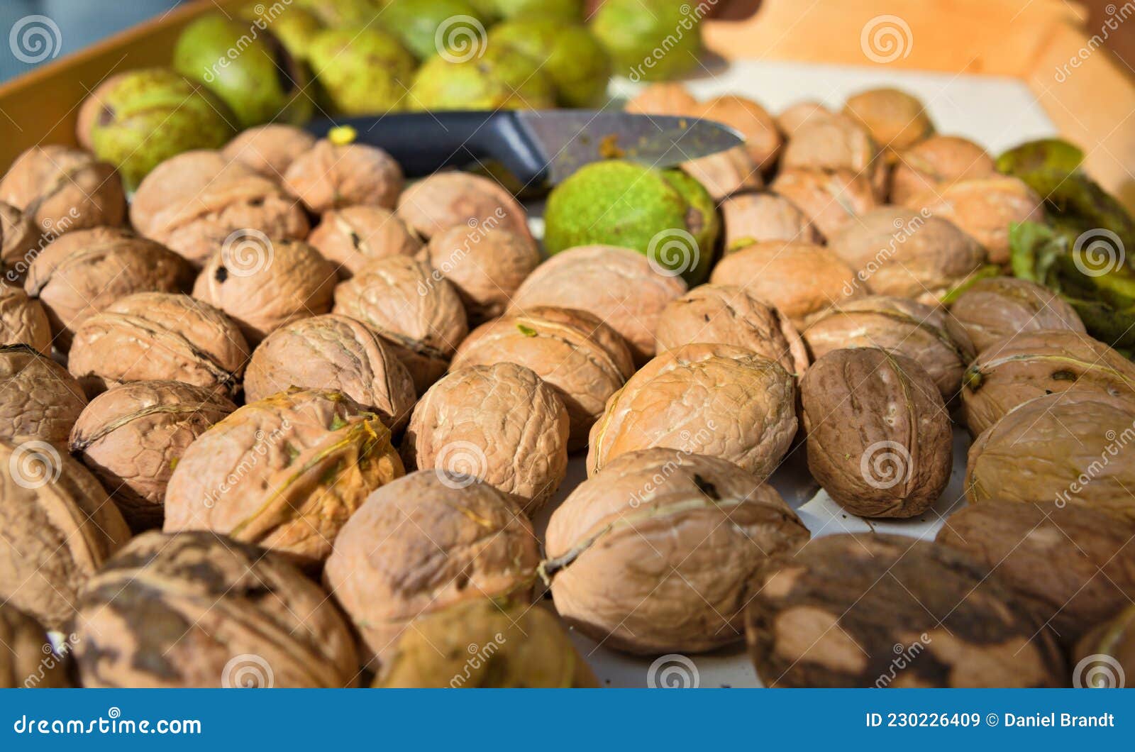 Pealing walnuts -V stock image. Image of gathered, open - 230226409