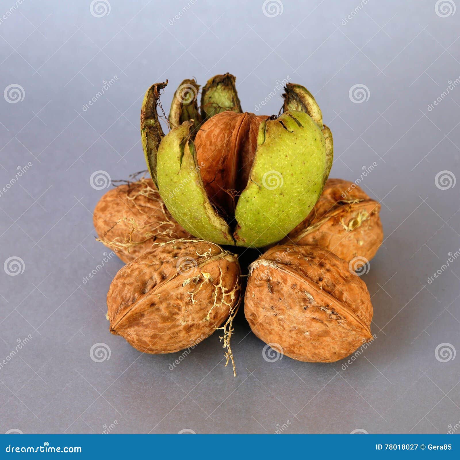 Walnuts on a Gray or White Background Stock Image - Image of healthy ...