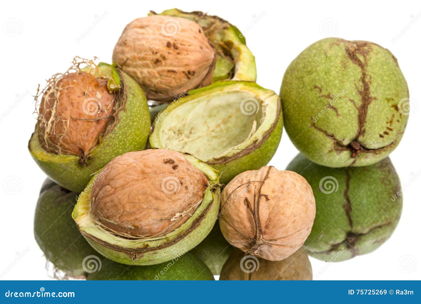 Walnuts and green shell stock image. Image of protein - 75725269