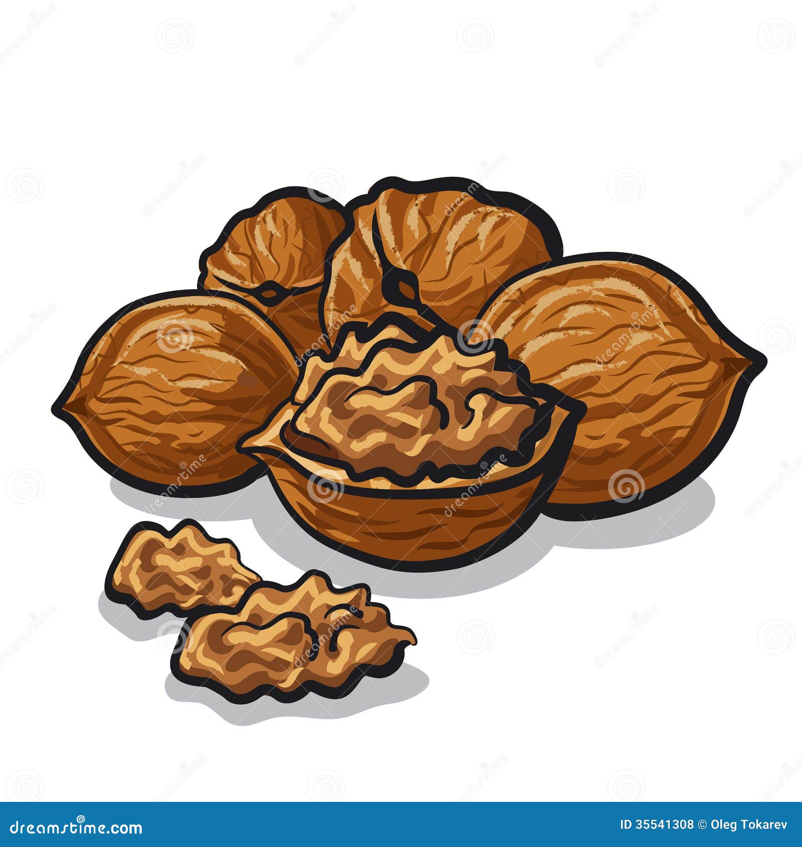Walnuts Cartoons, Illustrations & Vector Stock Images - 936 Pictures to ...