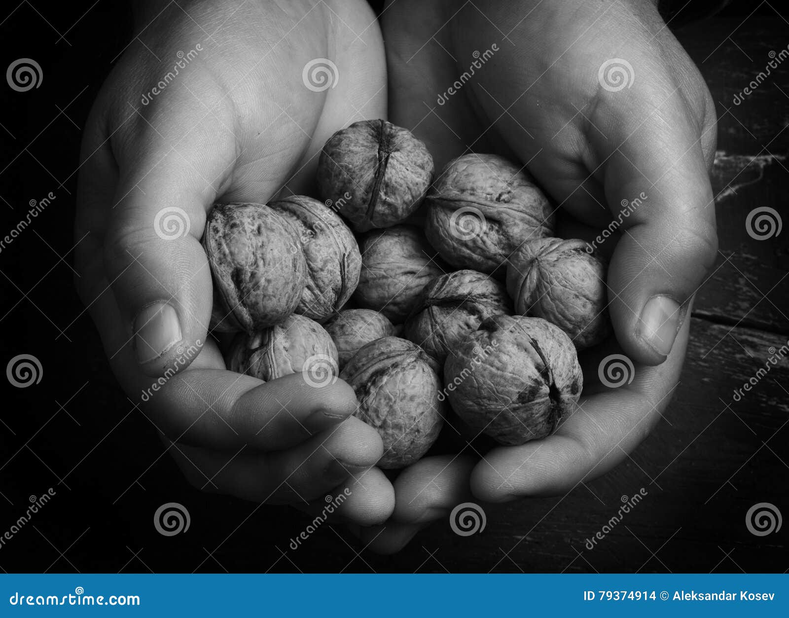 Walnuts in hands stock photo. Image of nature, group - 79374914