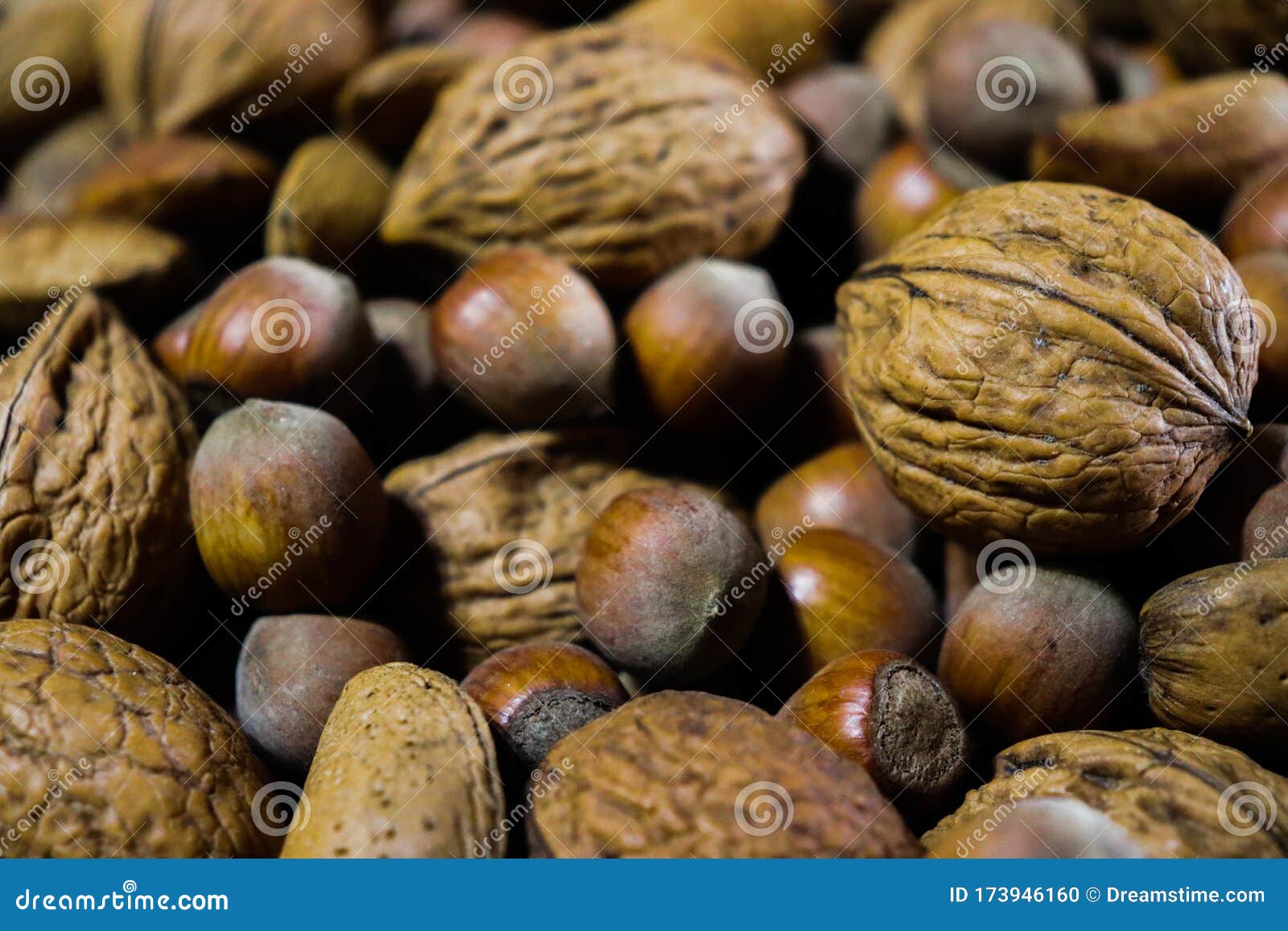 Walnuts, Hazelnuts, Almonds and Others Stock Photo - Image of nutshell ...