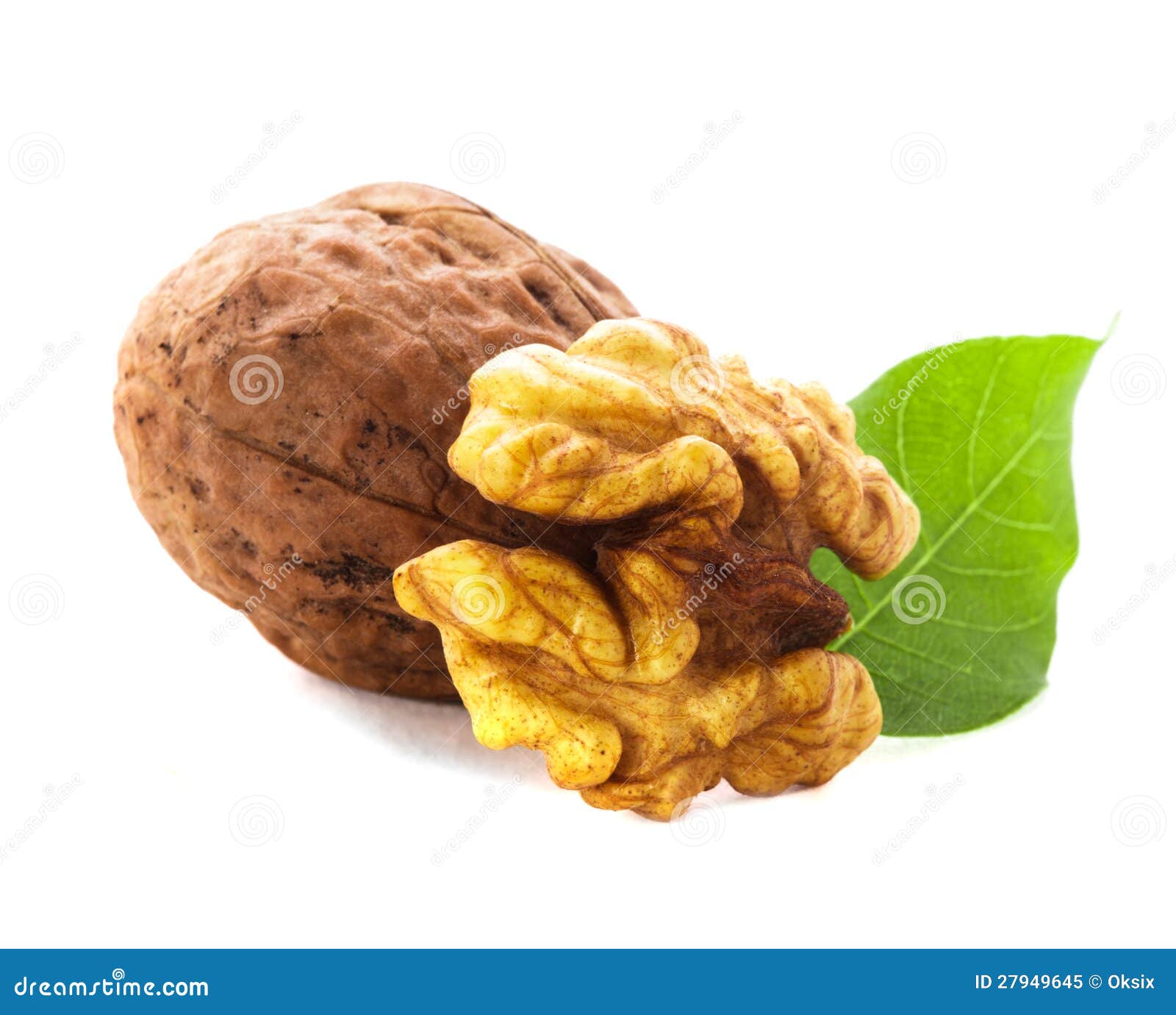 Walnuts isolated stock image. Image of cross, organic - 27949645