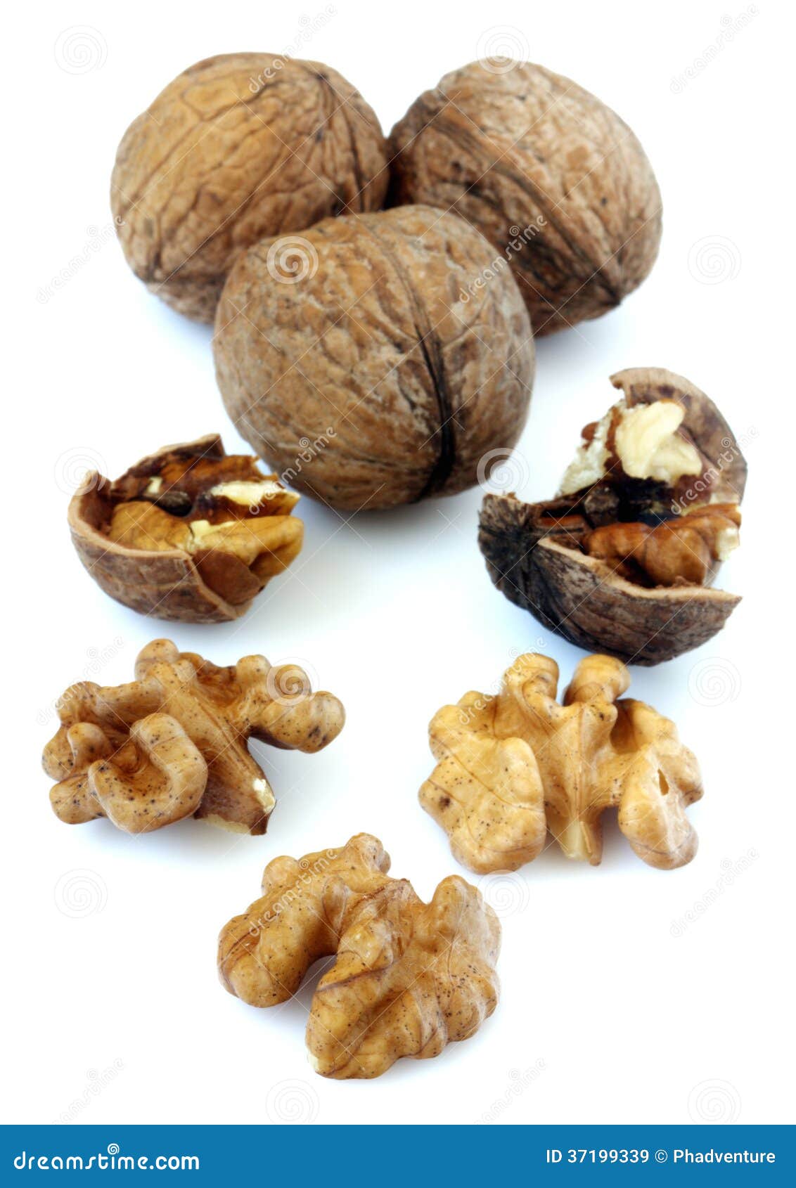 Walnuts isolated stock image. Image of nutrient, close - 37199339