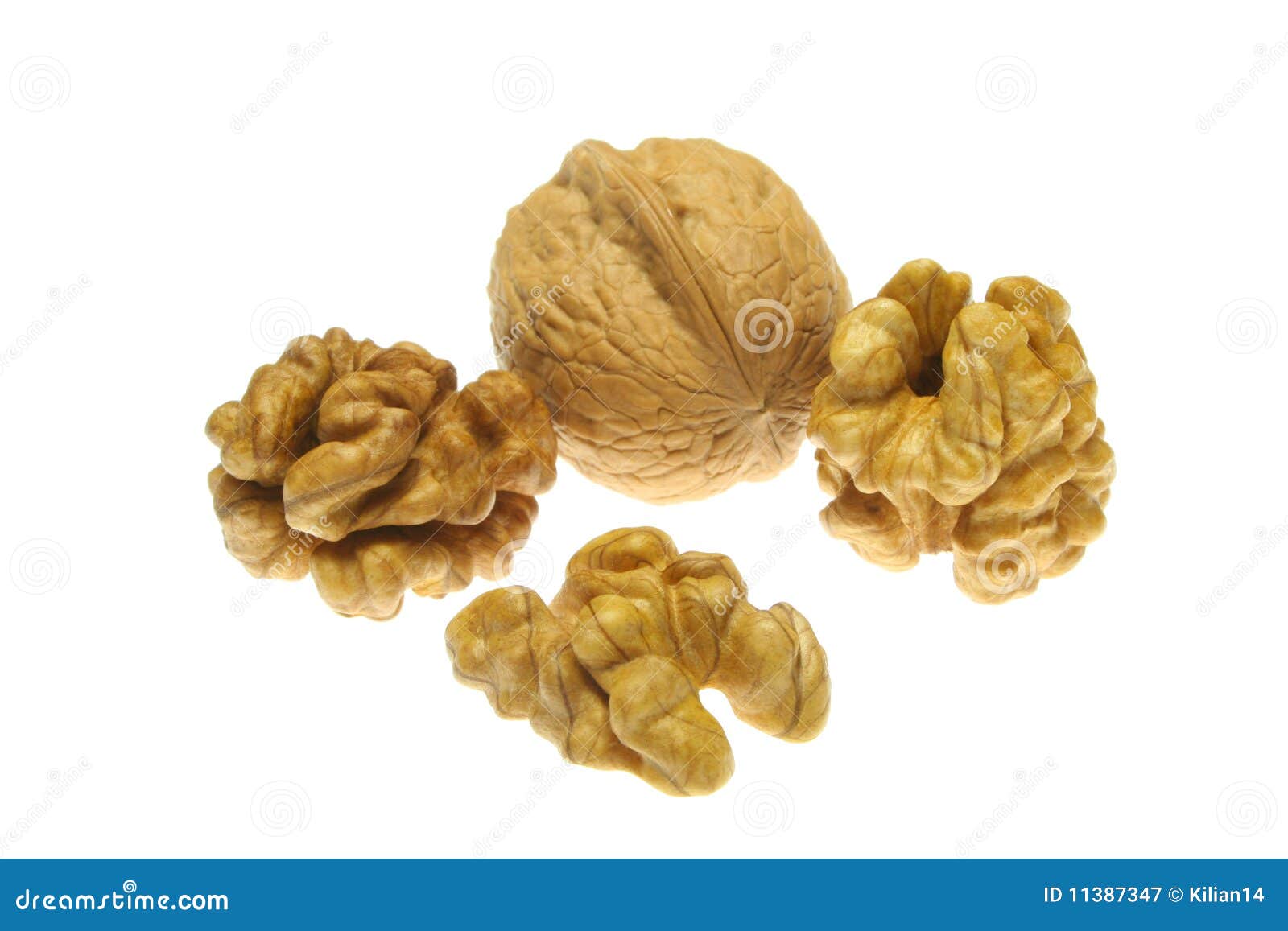 Walnuts Isolated on White Background Stock Image - Image of isolated ...