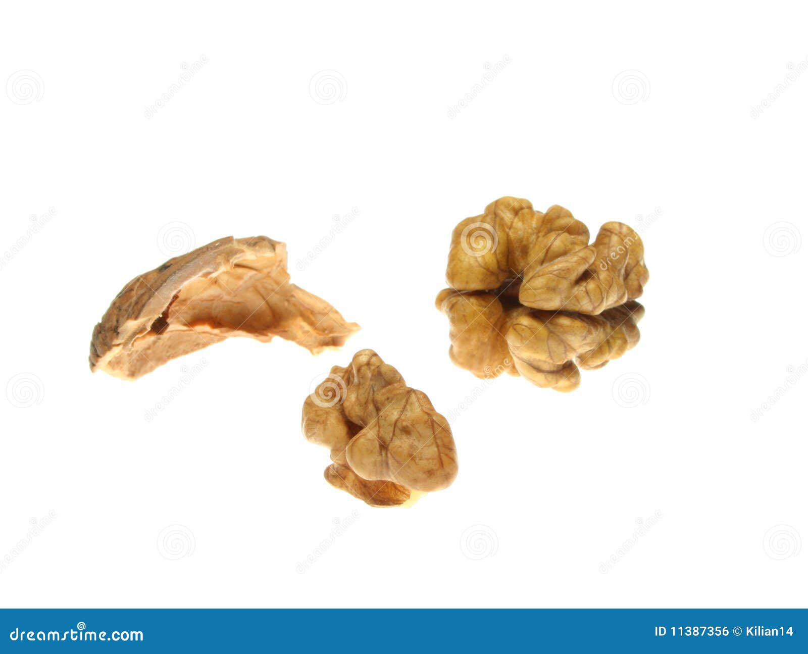 Walnuts Isolated on White Background Stock Photo - Image of organic ...