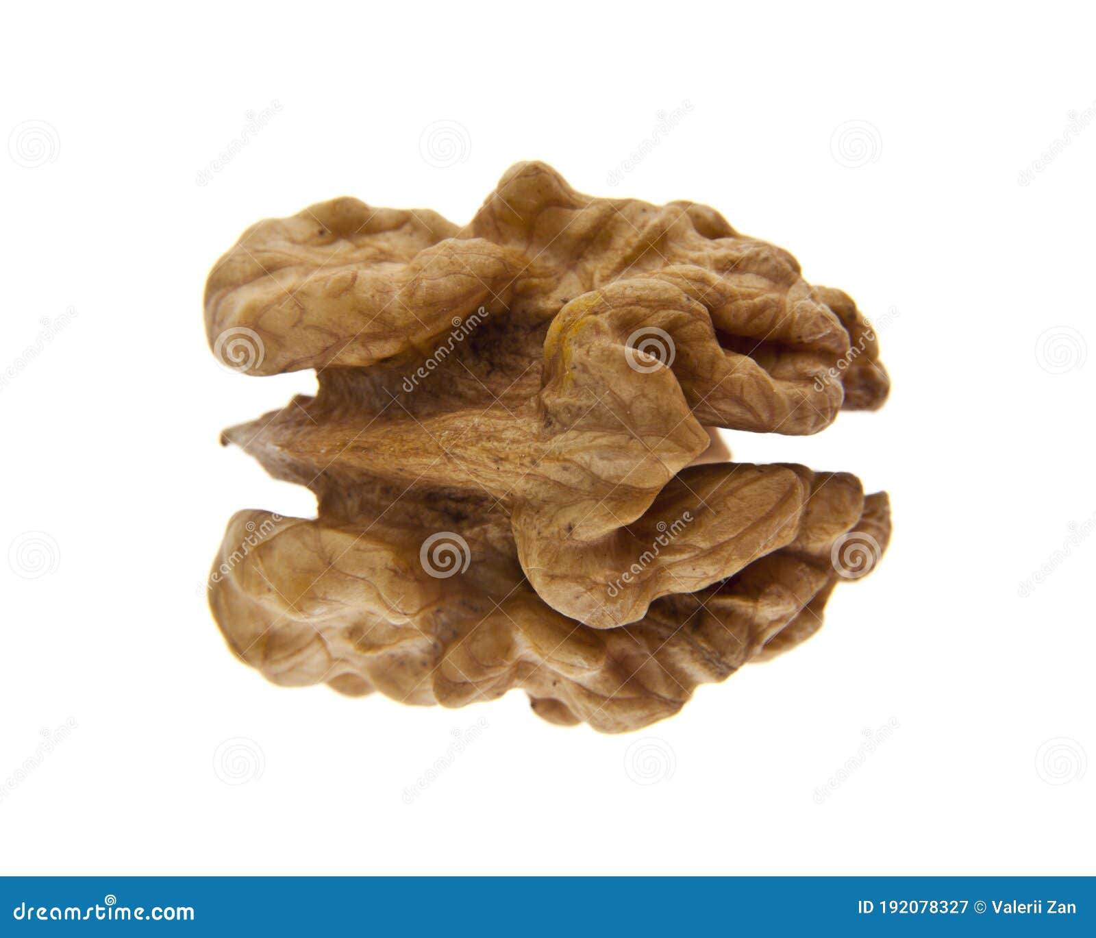 Walnuts Isolated on White Background. Stock Image - Image of open, diet ...