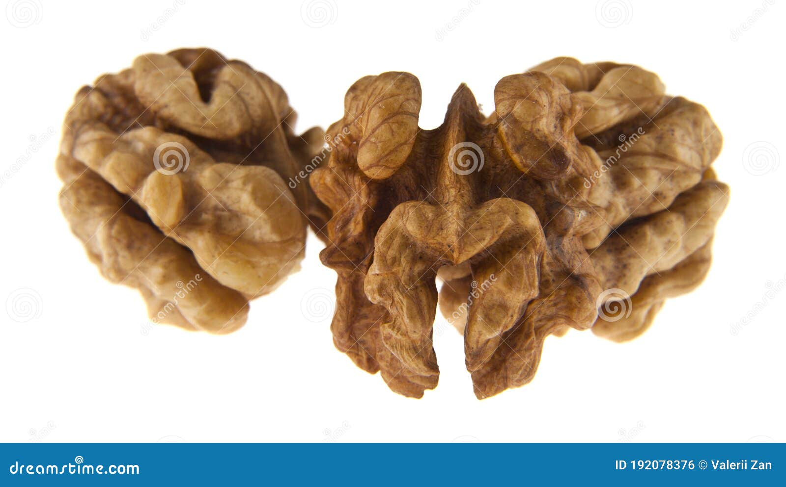 Walnuts Isolated on White Background. Stock Photo - Image of ingredient ...