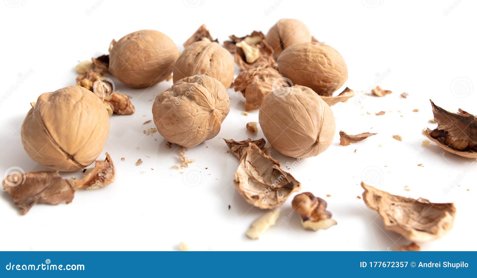 Walnuts Isolated on a White Background Stock Image - Image of nature ...