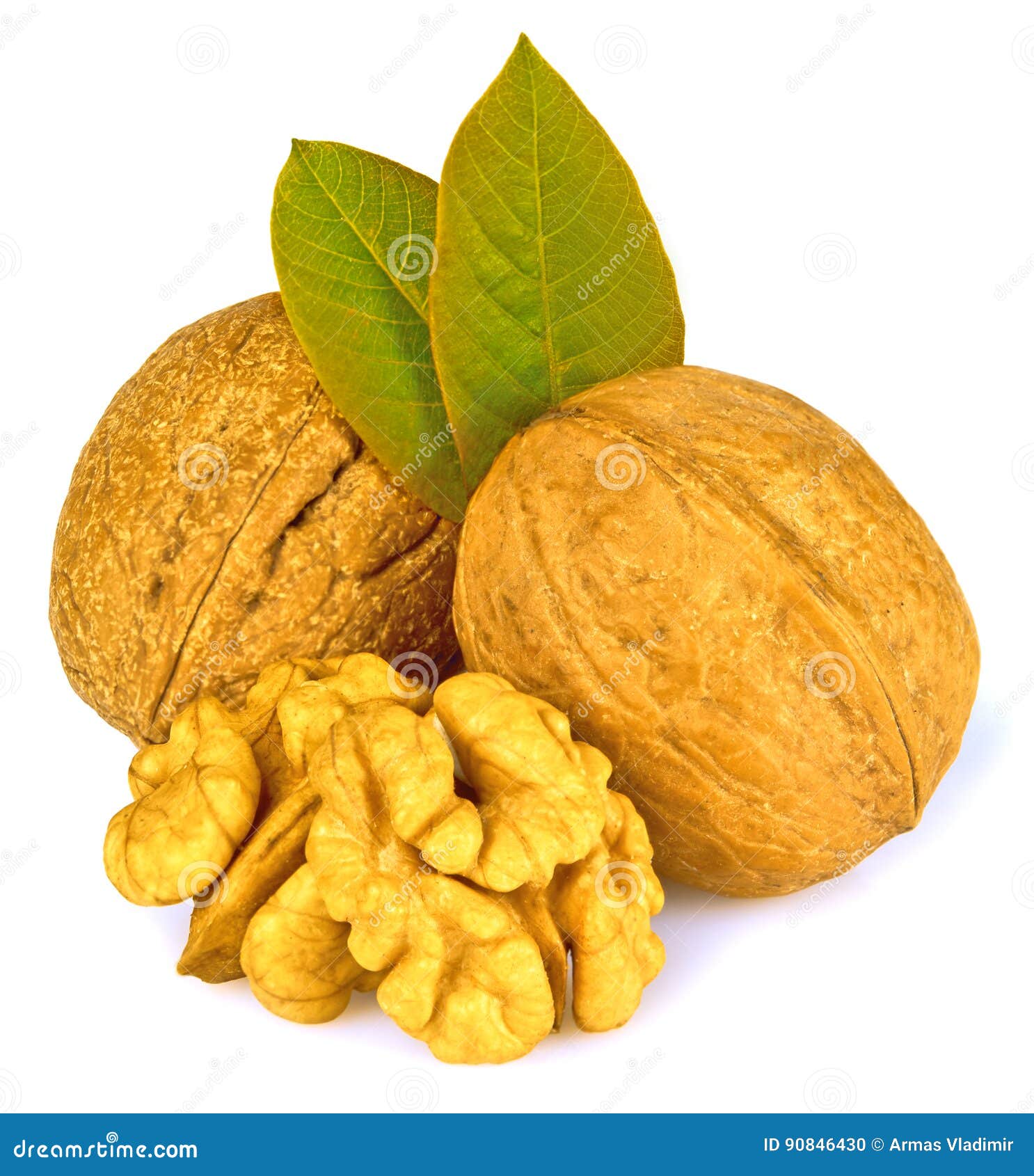 Walnuts Isolated on White Background Stock Photo - Image of core ...