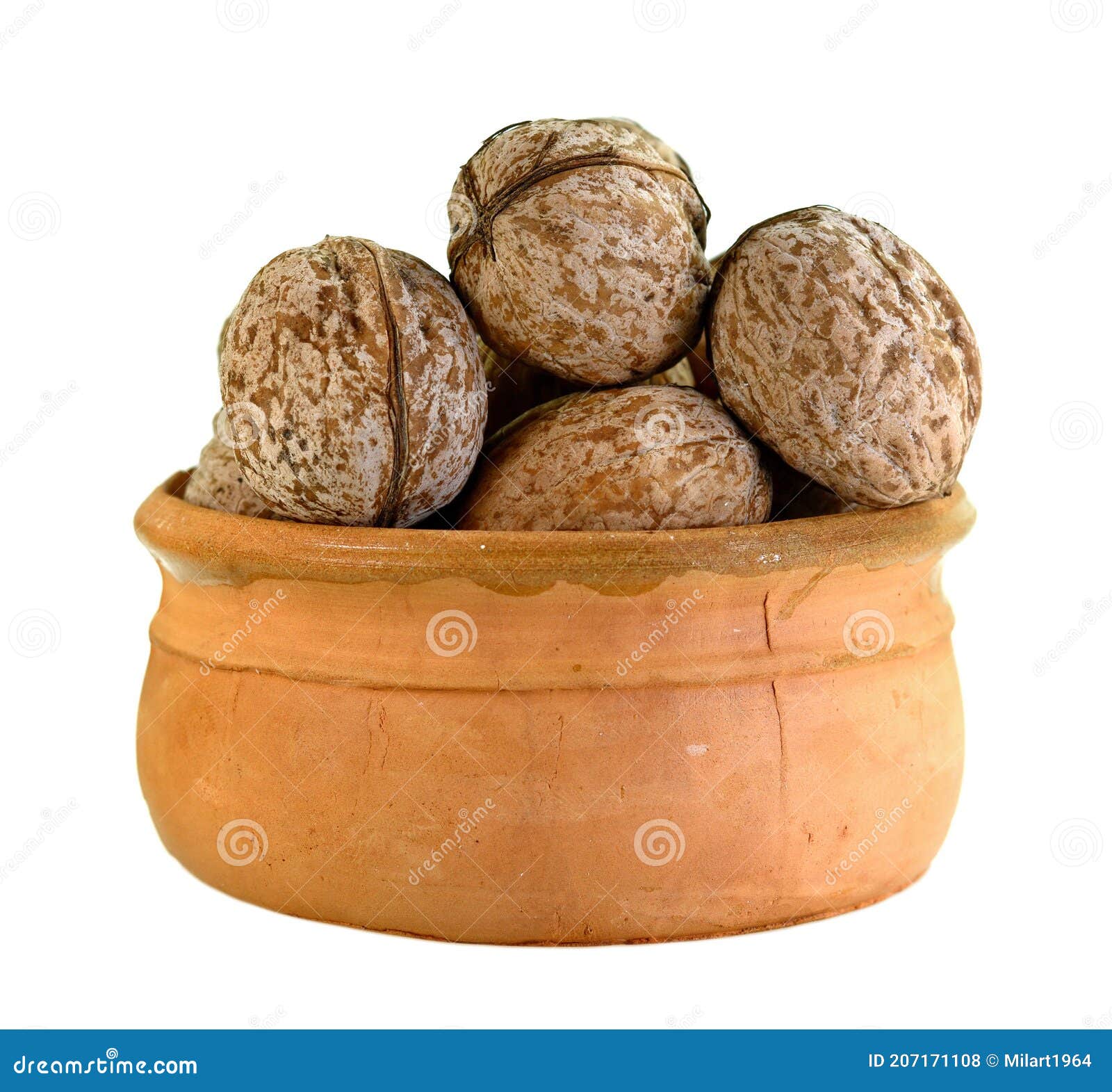 Walnut isolated. stock photo. Image of halved, food - 207171108