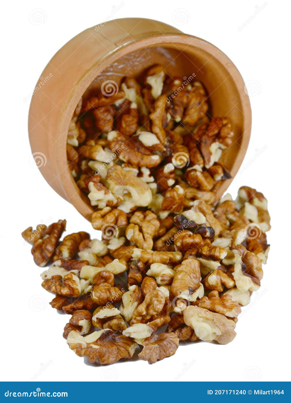 Walnut isolated. stock photo. Image of ingredient, healthy - 207171240