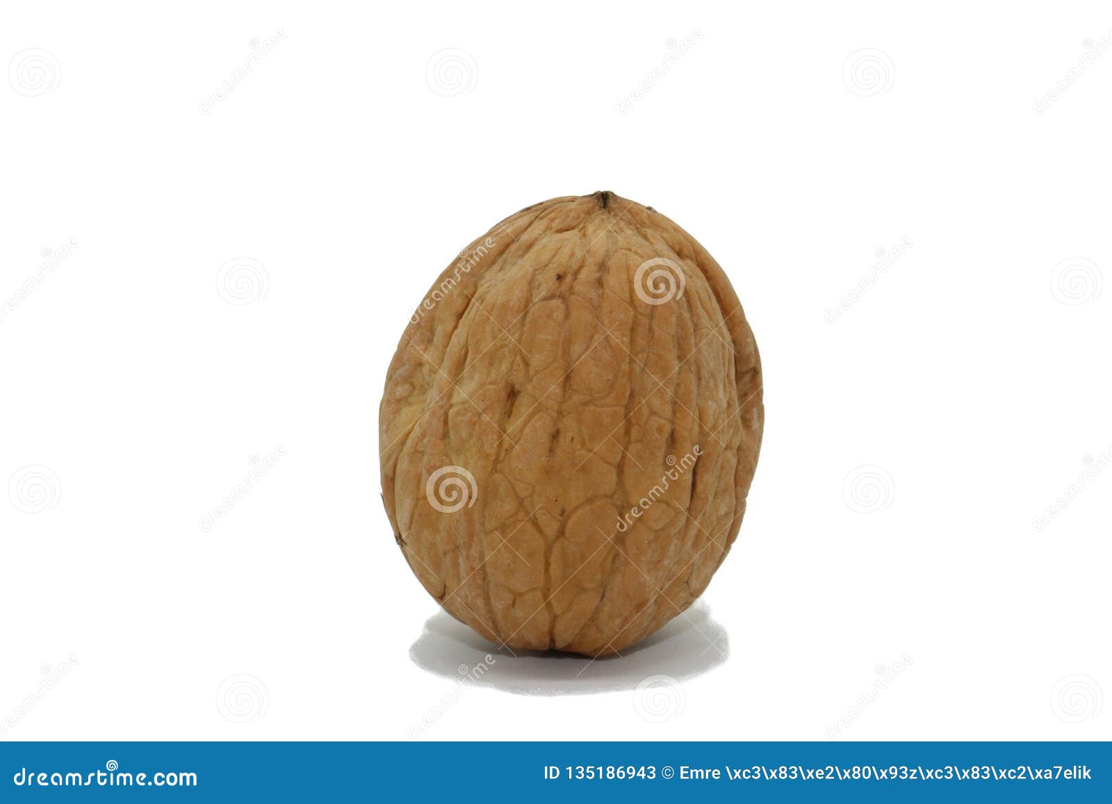 Walnuts Isolated on a White Backround. Stock Image - Image of organic ...
