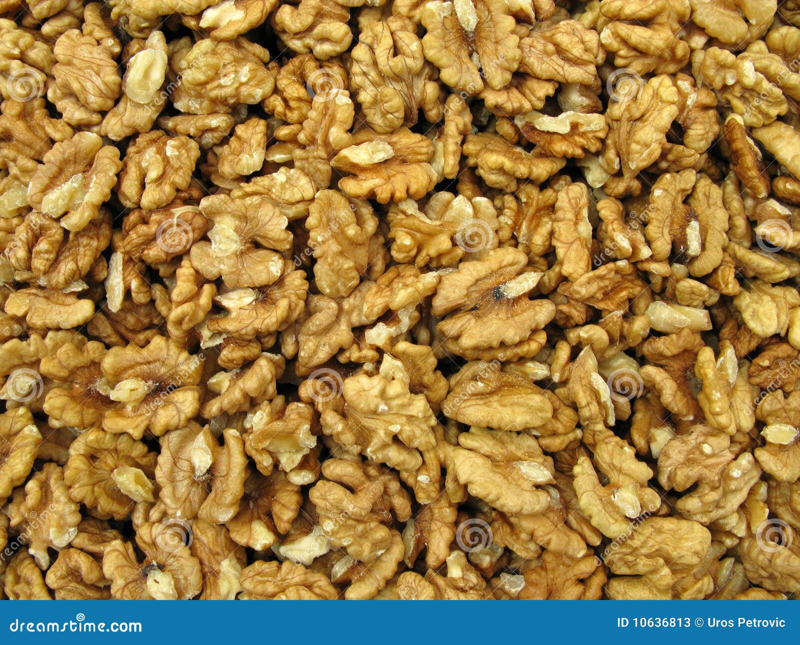 Walnuts kernels stock image. Image of color, nuts, juglans - 10636813