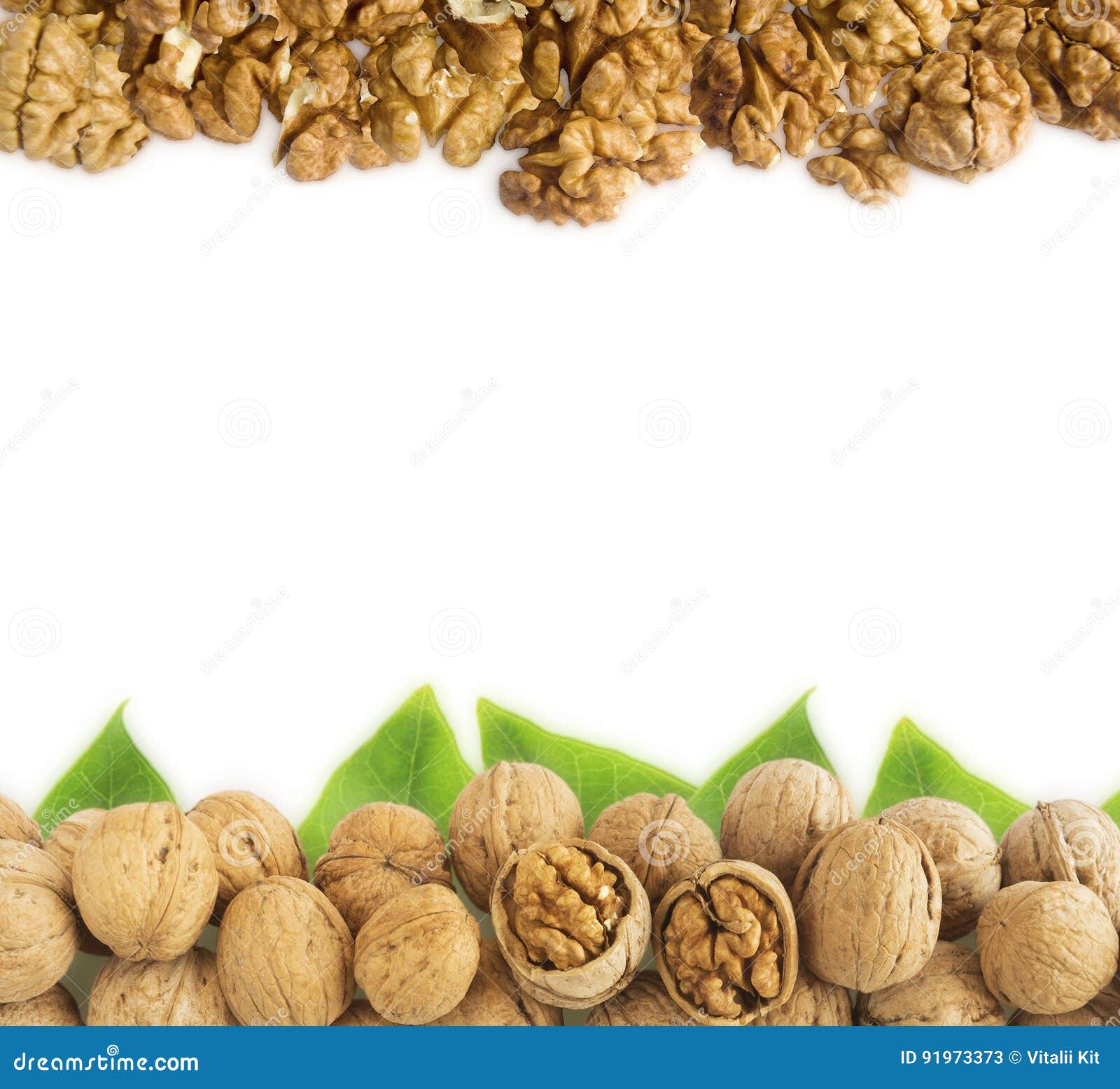 Walnuts with Leaves at Border of Image with Copy Space for Text Stock ...