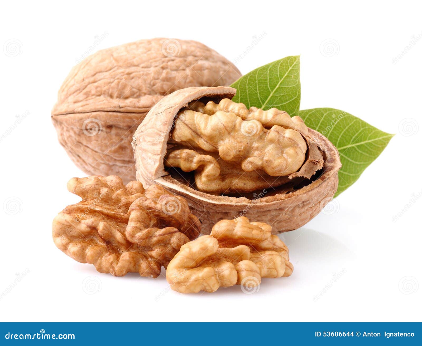 Walnuts with leaves stock photo. Image of heap, macro - 53606644