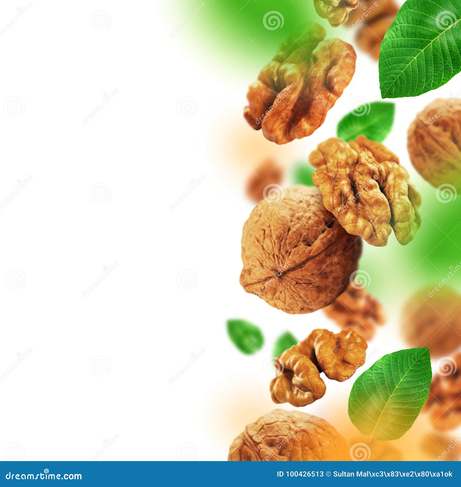 Walnuts and Leaves Falling from the Air Stock Image - Image of nutshell ...