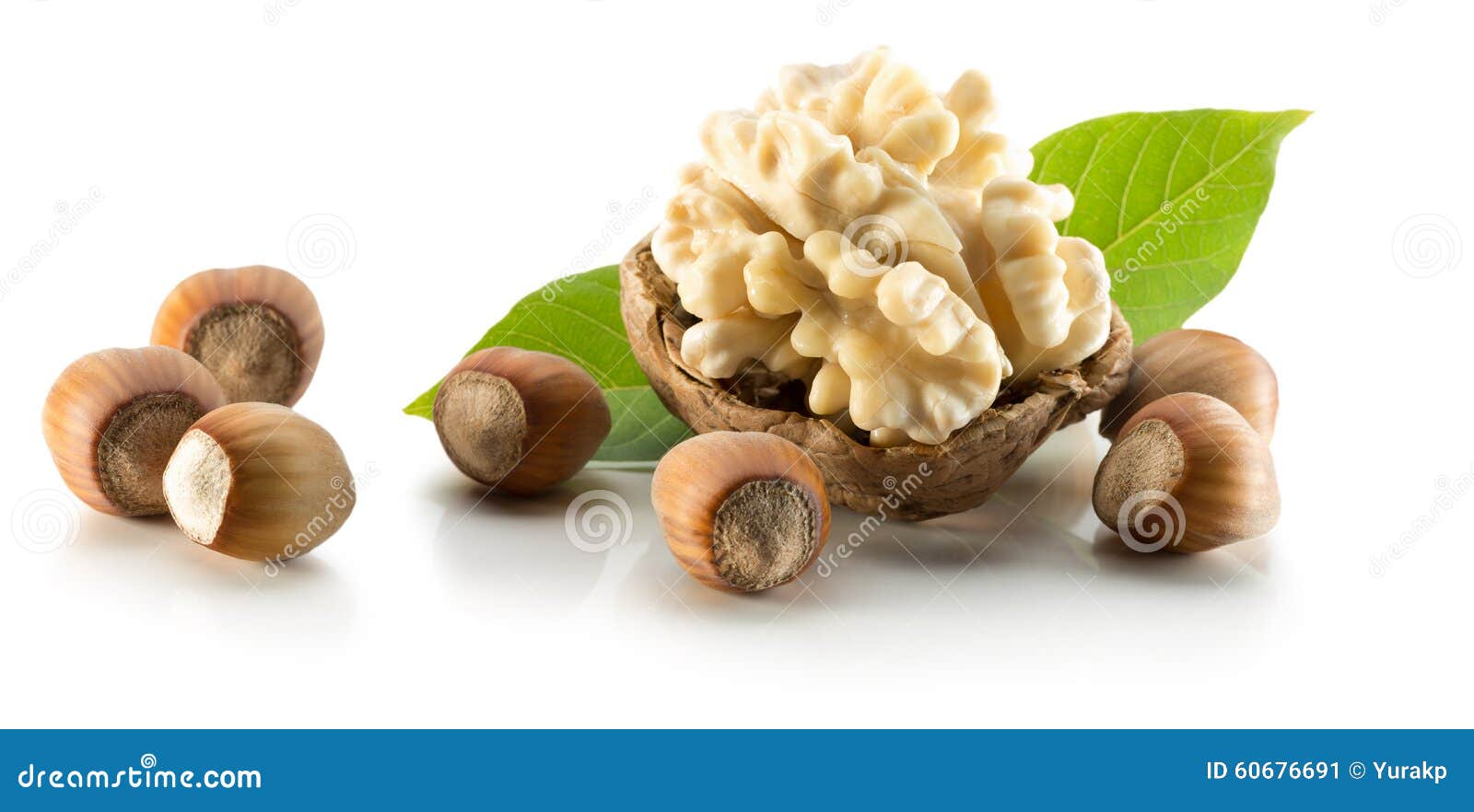 Walnuts with Leaves and Hazel Nuts on the White Background Stock Image ...