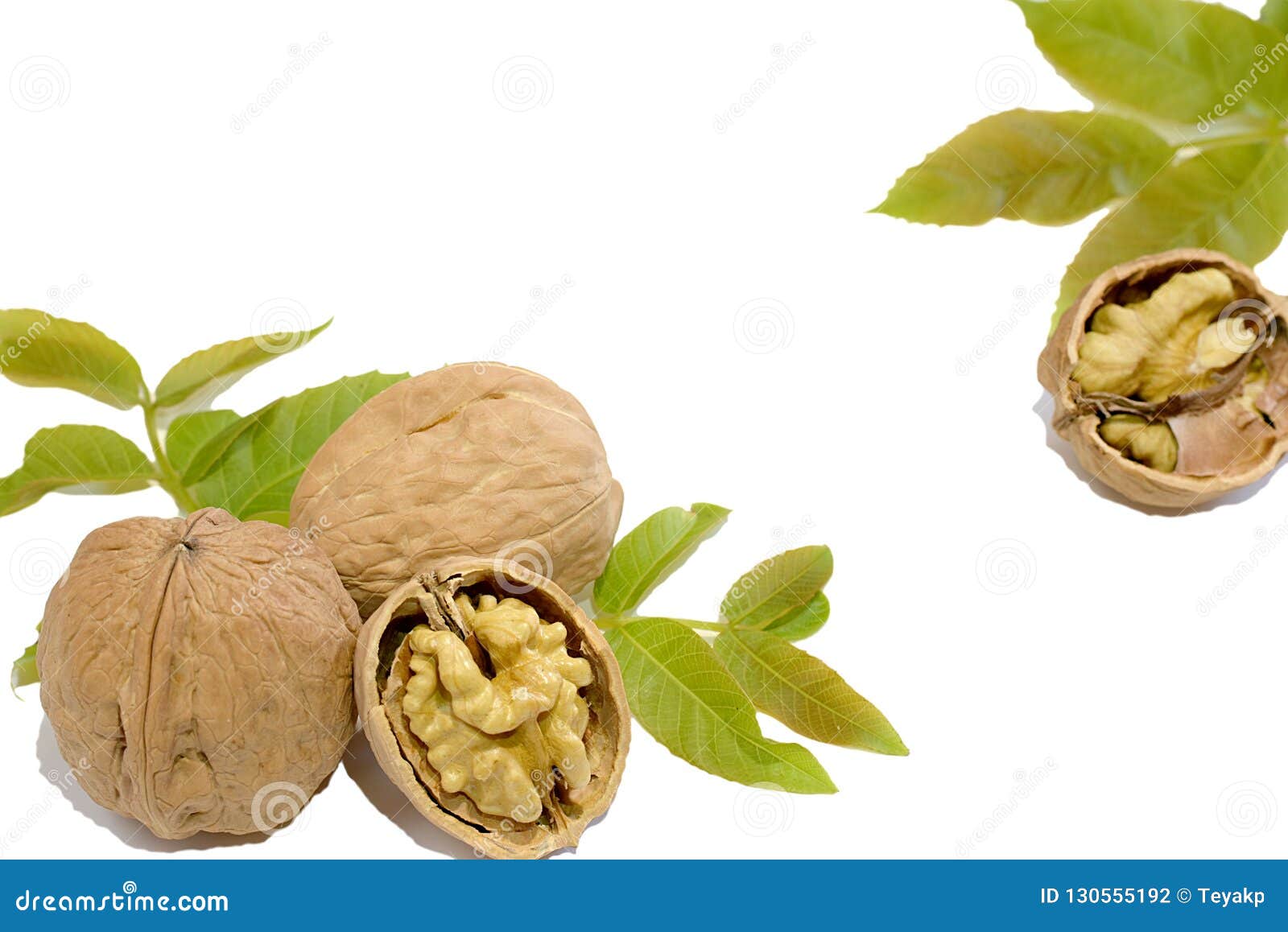 Walnuts and Leaves on White Background Stock Photo - Image of growth ...