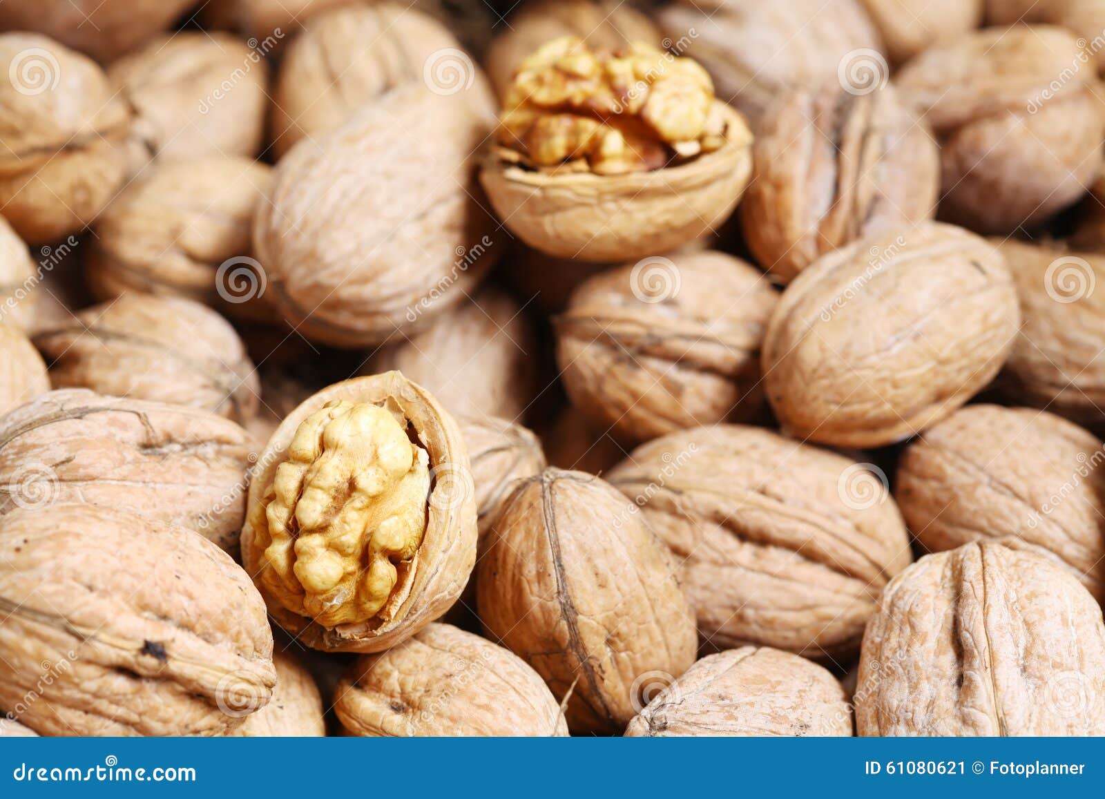 Walnuts stock image. Image of healthy, walnut, texture - 61080621