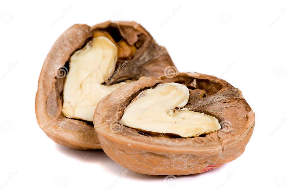 Walnuts in Love stock image. Image of fresh, closeup - 11634639