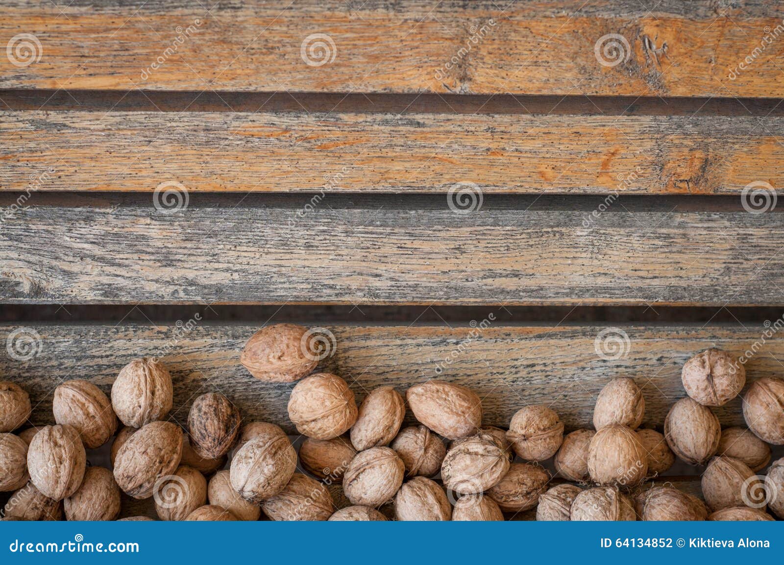 Walnuts stock photo. Image of brain, organic, vegetarian - 64134852