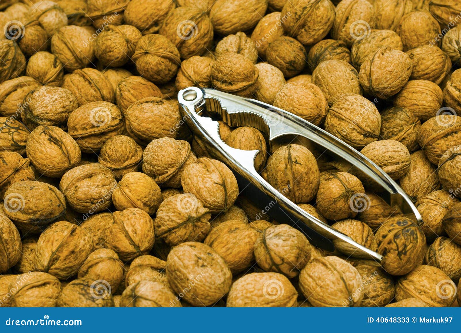 Walnuts and Nut Cracker stock image. Image of cracker - 40648333
