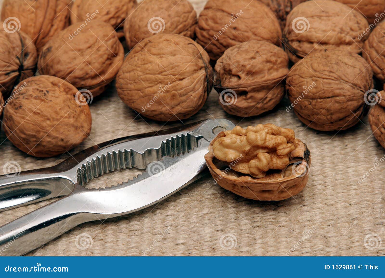 Walnuts and a Nutcracker stock image. Image of cracker - 1629861