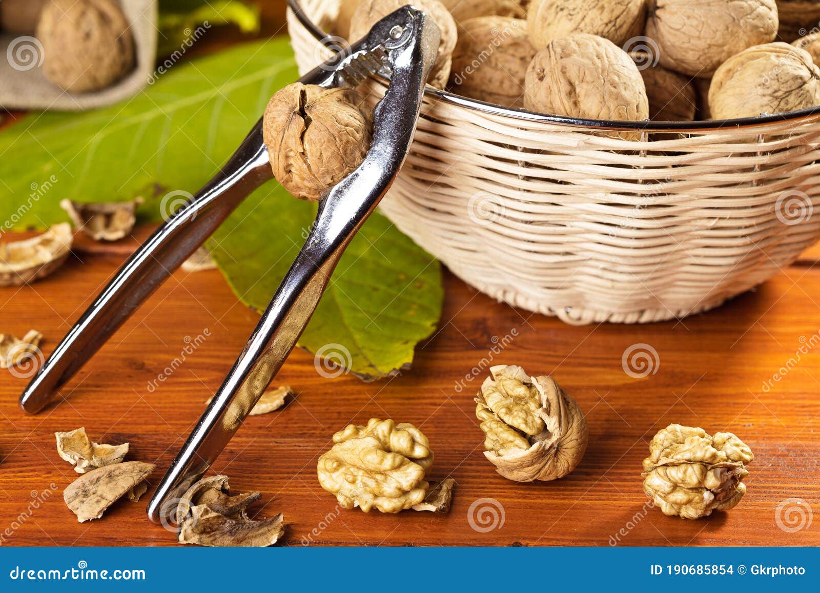 Walnuts With Nutcracker. Cracking Nuts On A Dark Background Royalty ...