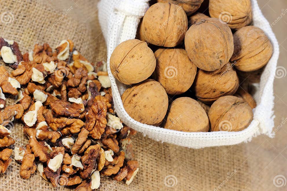 The Walnuts Nuts Vitamins for the Brain Stock Photo - Image of nuts ...