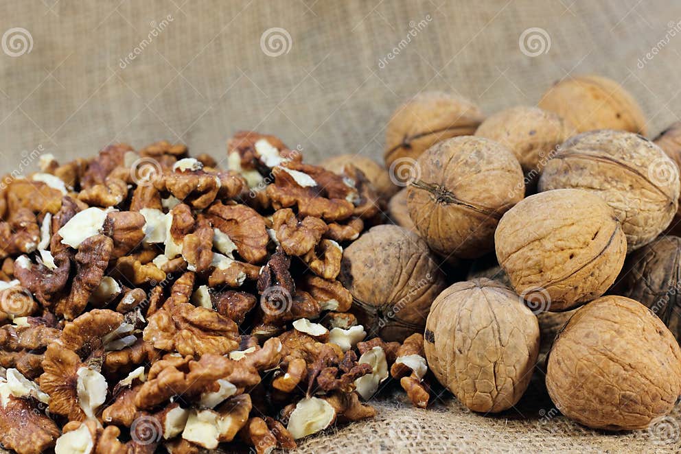 The Walnuts Nuts Vitamins for the Brain Stock Photo - Image of brain ...