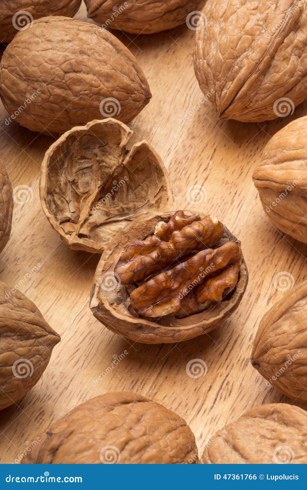 Walnuts with open nut stock photo. Image of nutshell - 47361766