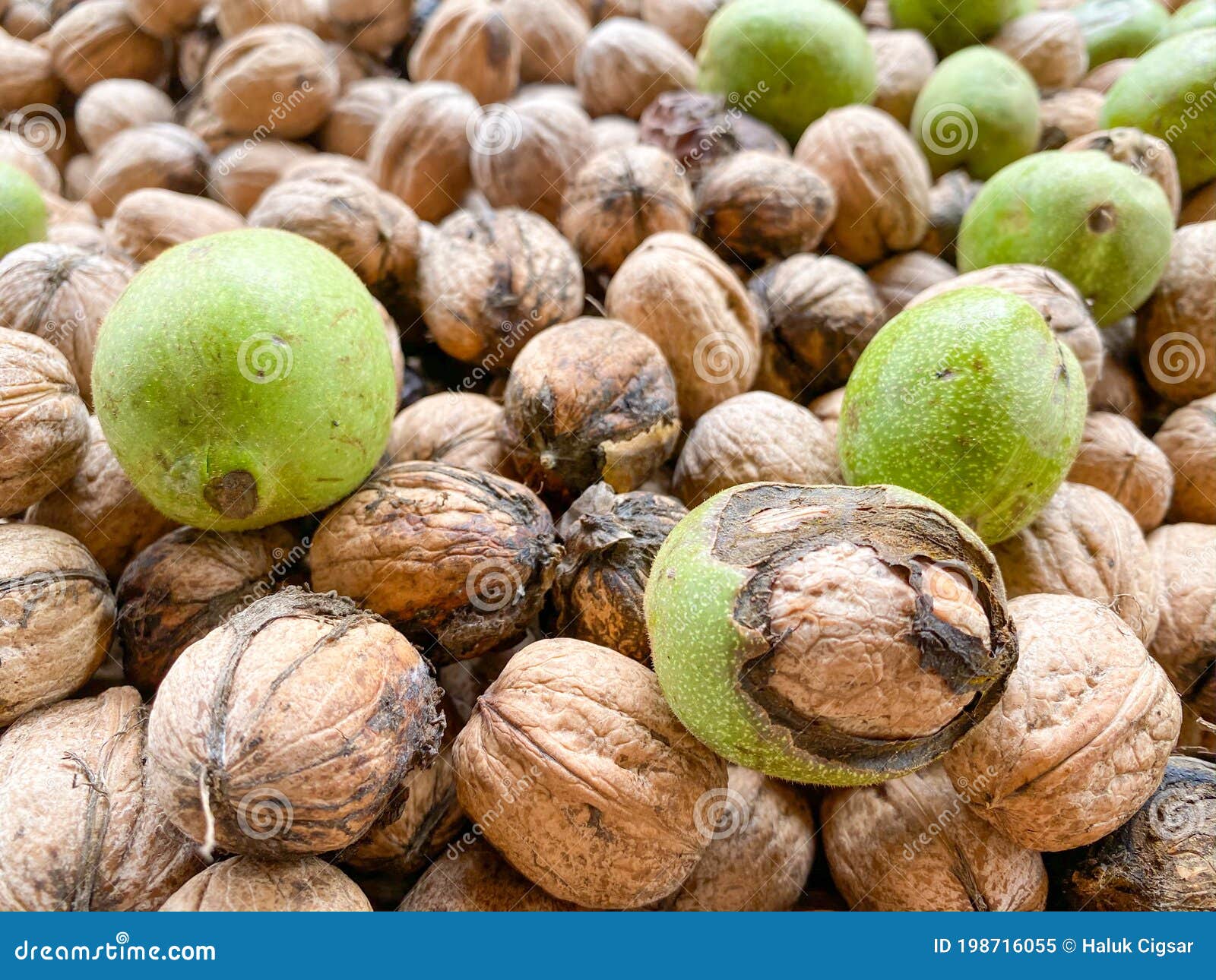 Walnuts Opened the Shell and the Collected Stock Image - Image of ...
