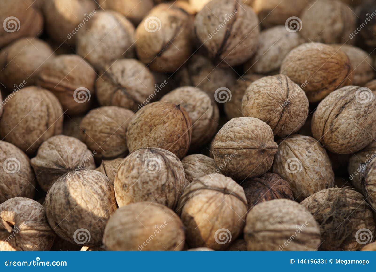 A Lot of Walnuts in the Peel Close Up Stock Image - Image of calories ...