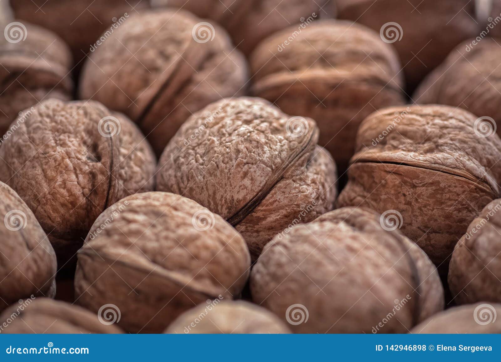 Walnuts Scattering, a Bunch of Nuts in the Shell Stock Photo - Image of ...