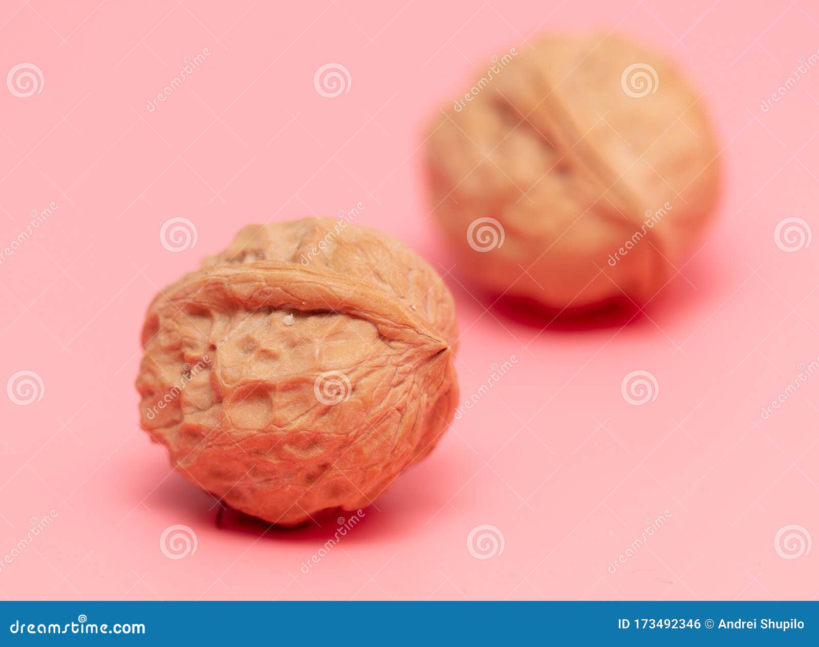 Walnuts on a Pink Background Stock Photo - Image of hard, macro: 173492346